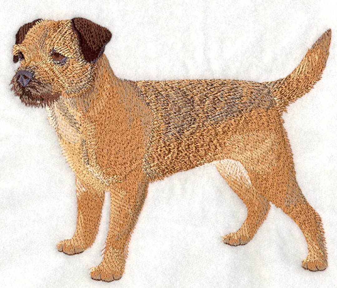 BORDER TERRIER- Machine Embroidered Quilt Blocks (azeb - Etsy