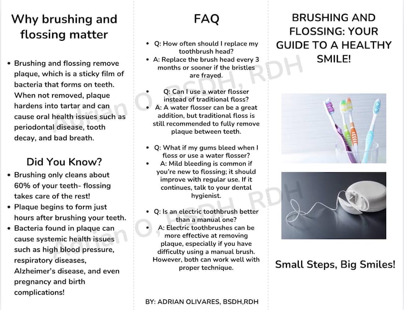 Brushing and Flossing Brochure - Etsy