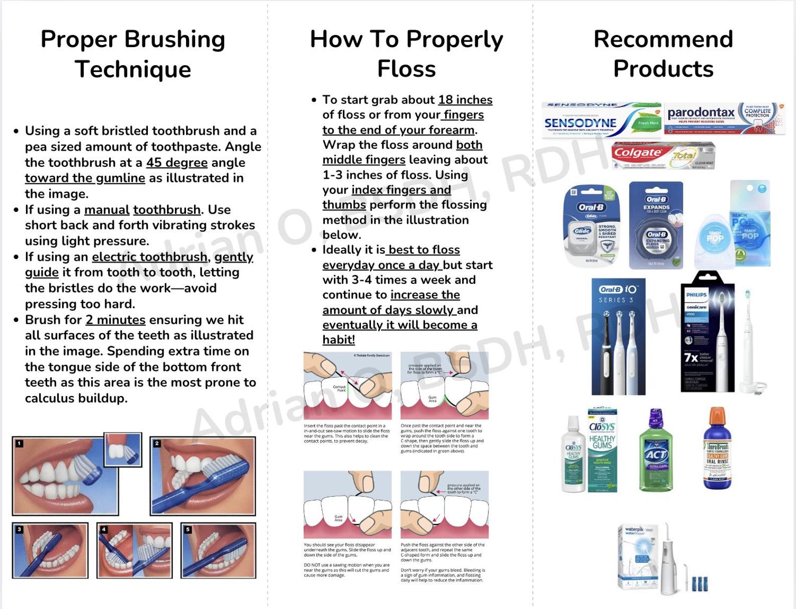 Brushing And Flossing Brochure Etsy