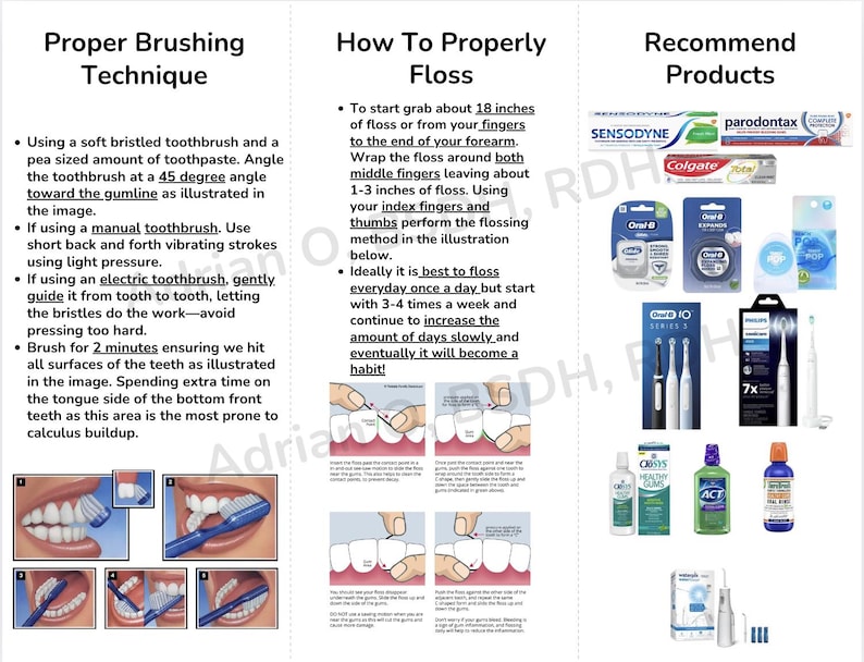 Brushing and Flossing Brochure - Etsy