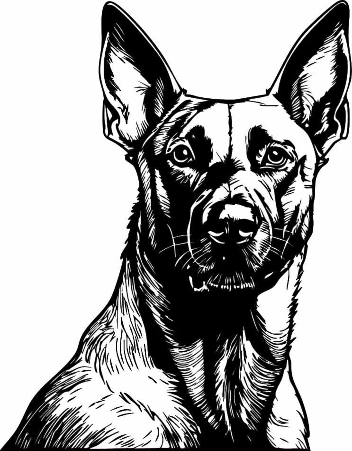 Belgian Malinois SVG & PNG Digital Line Art, Vector Dog Drawing for ...