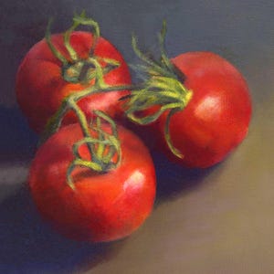 Realistic Tomato Art Print 4x4 - 12x12 Inch on Archival Paper. Dark ...