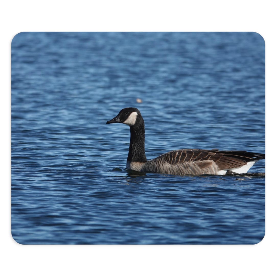 Canada Goose Mouse Pad, Office Décor. - Etsy