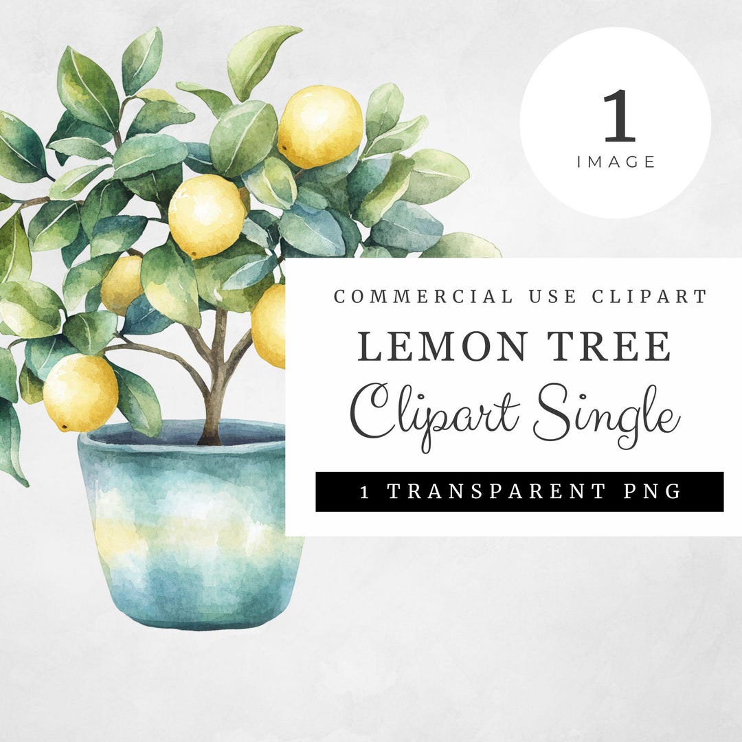 Watercolor Lemon Tree in Faded Pot Clipart – Citrus Digital Art, High ...