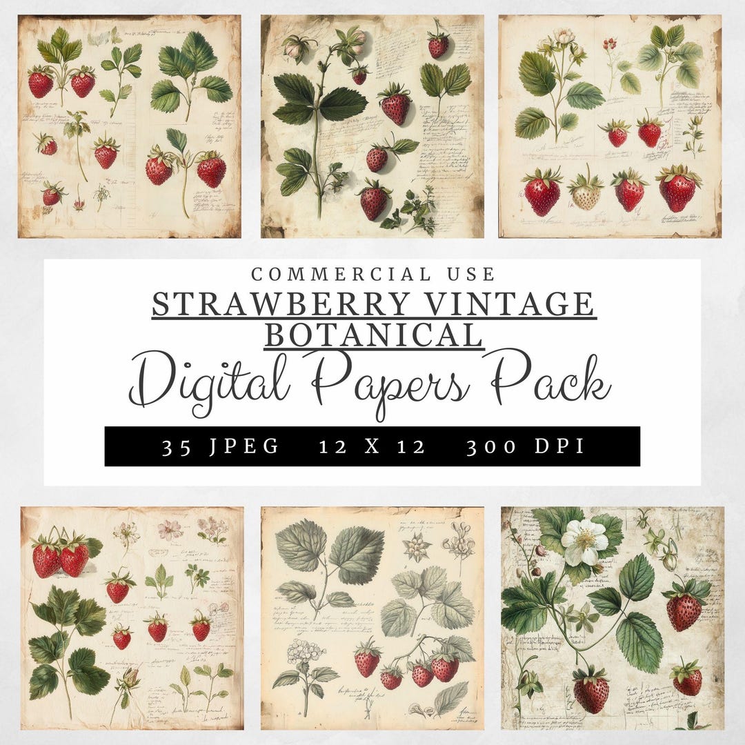 Strawberry Vintage Botanical Digital Papers, 35 Aged Book Pages ...