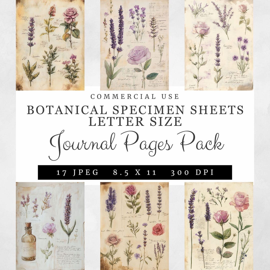 Botanical Specimen Sheet Journal Pages, 17 Letter Size Vintage ...