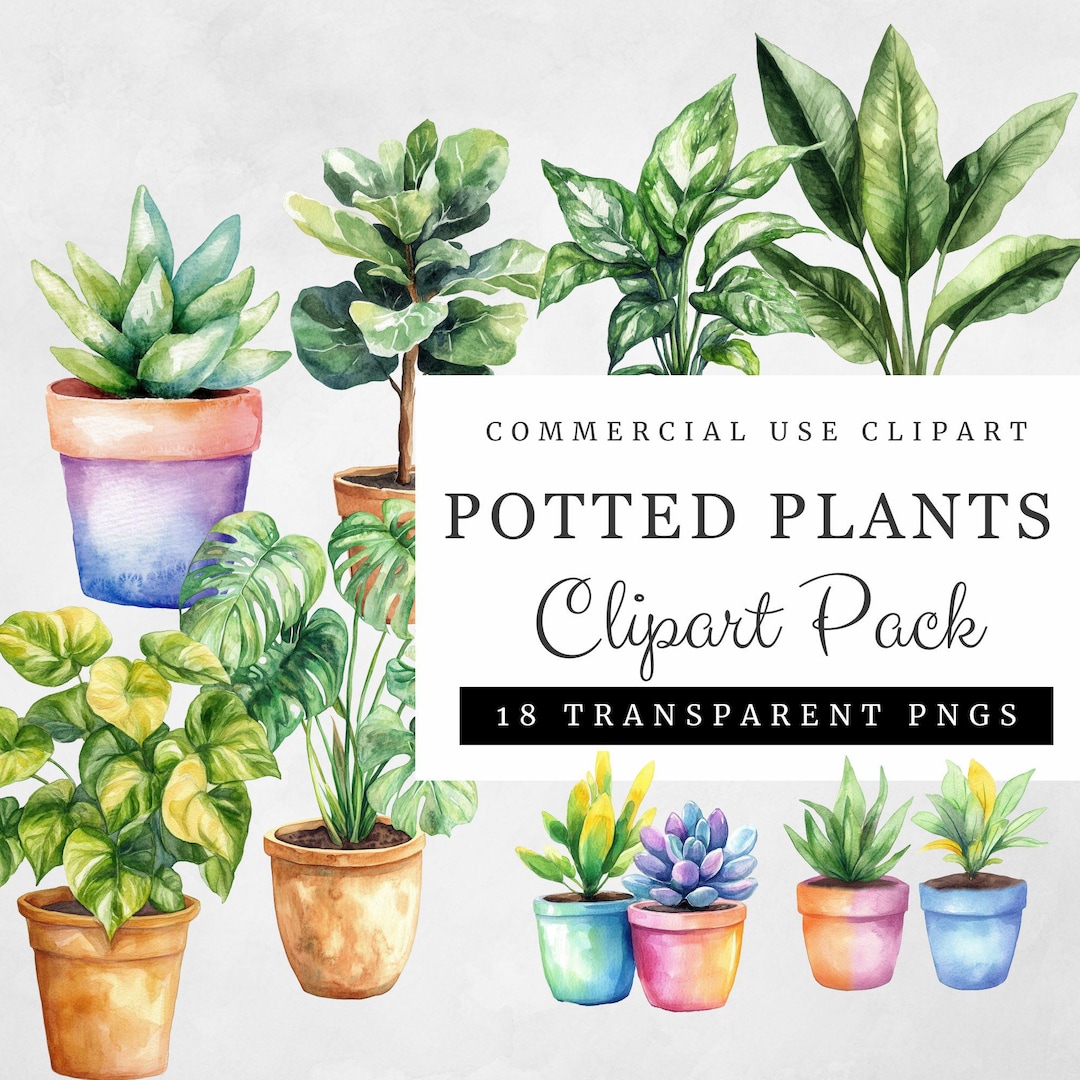 Watercolor Potted Plants Clipart, 18 Pngs Transparent Background, 300 ...