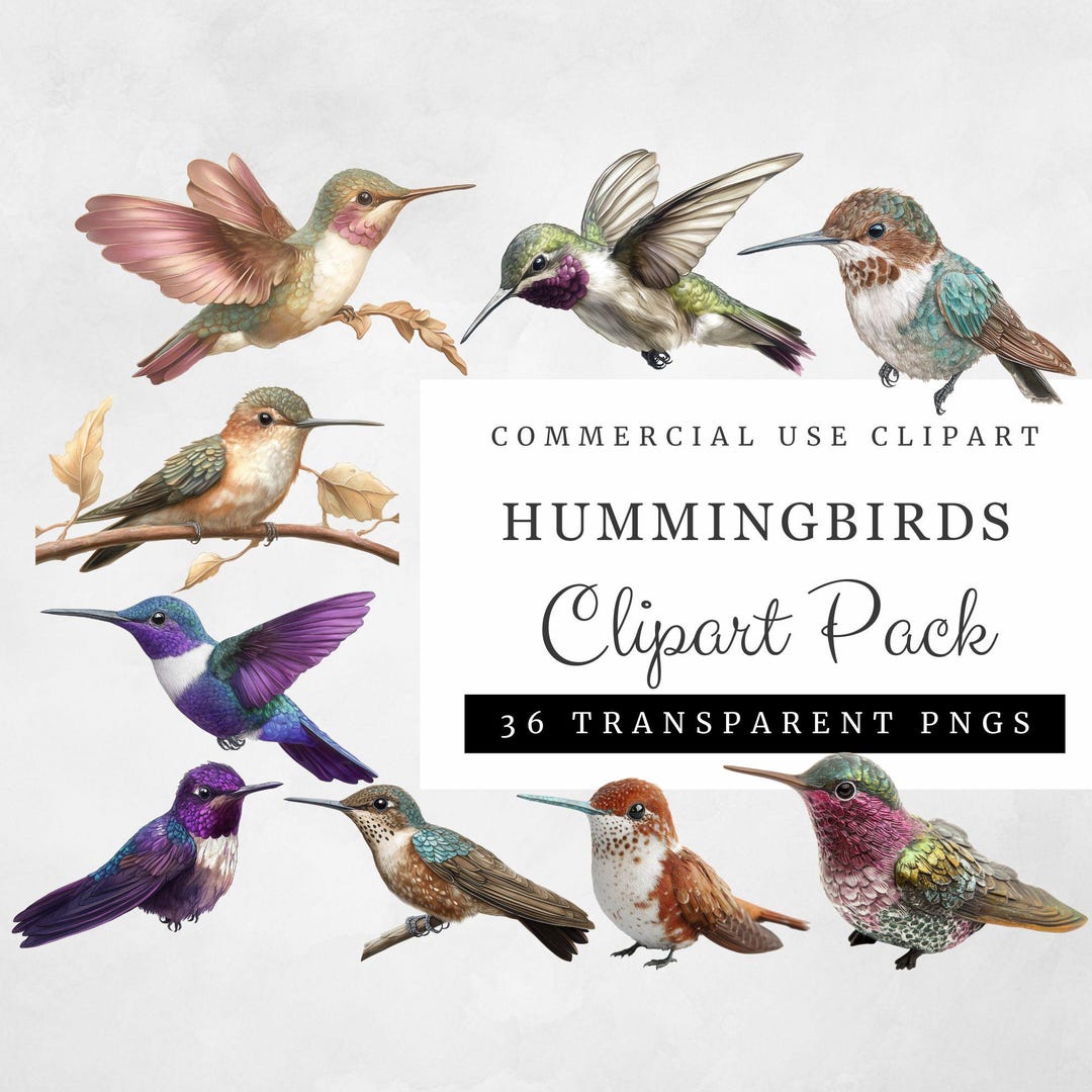 Hyper-realistic Hummingbird Clipart, 36 Transparent Pngs for Commercial ...