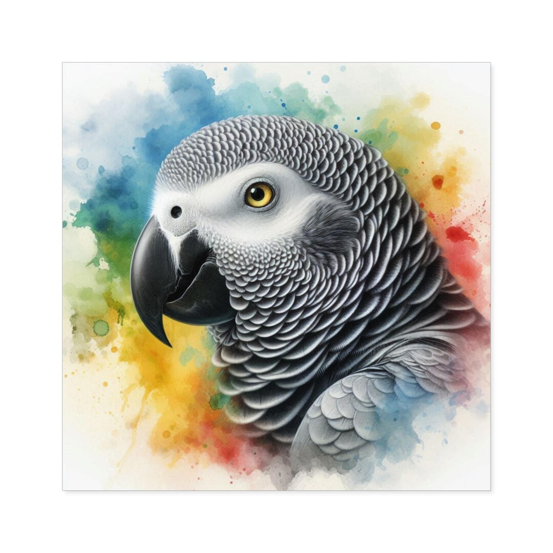 CAG Congo African Grey Parrot Square Stickers, Indooroutdoor - Etsy