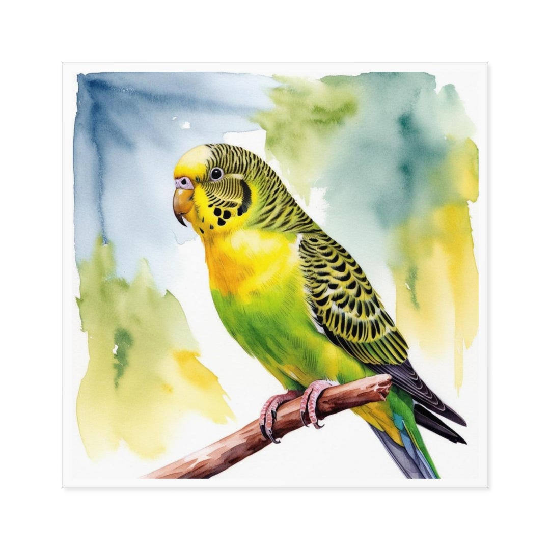 Budgie Parakeet Watercolor Square Stickers, Indooroutdoor - Etsy