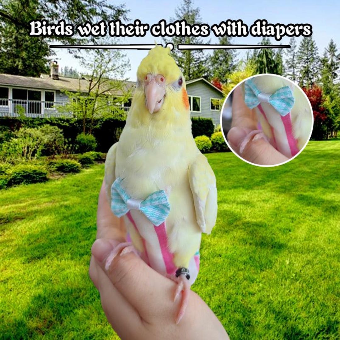 Adjustable Parrot Diaper for Small Birds Bird Coat Designed for Parrots ...
