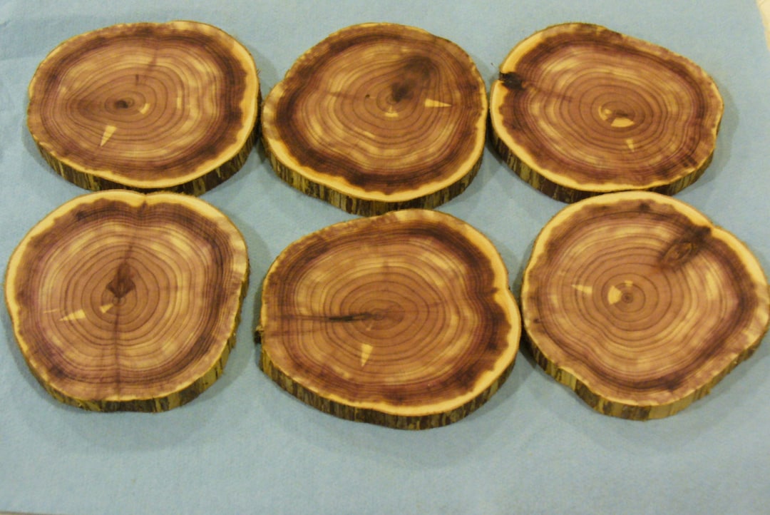 Red Cedar Natural Edge Coasters - Etsy