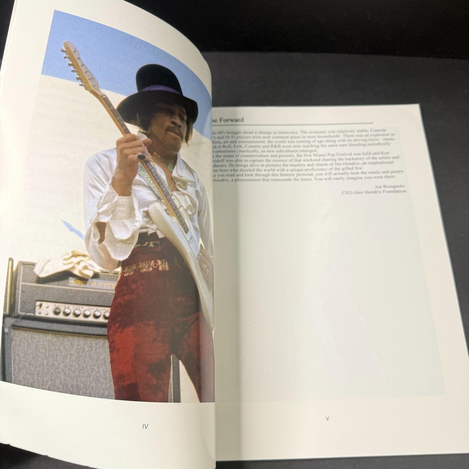 The Miami Pop Festival Photographic Experience Ken Davidoff Jack ...