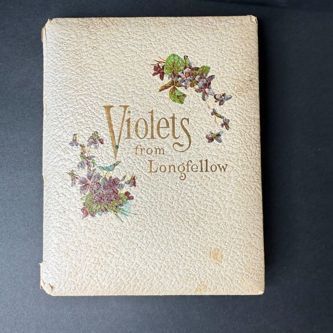 Violets From Longfellow Buffalo New York Hayes Lithographing Co. Circa ...