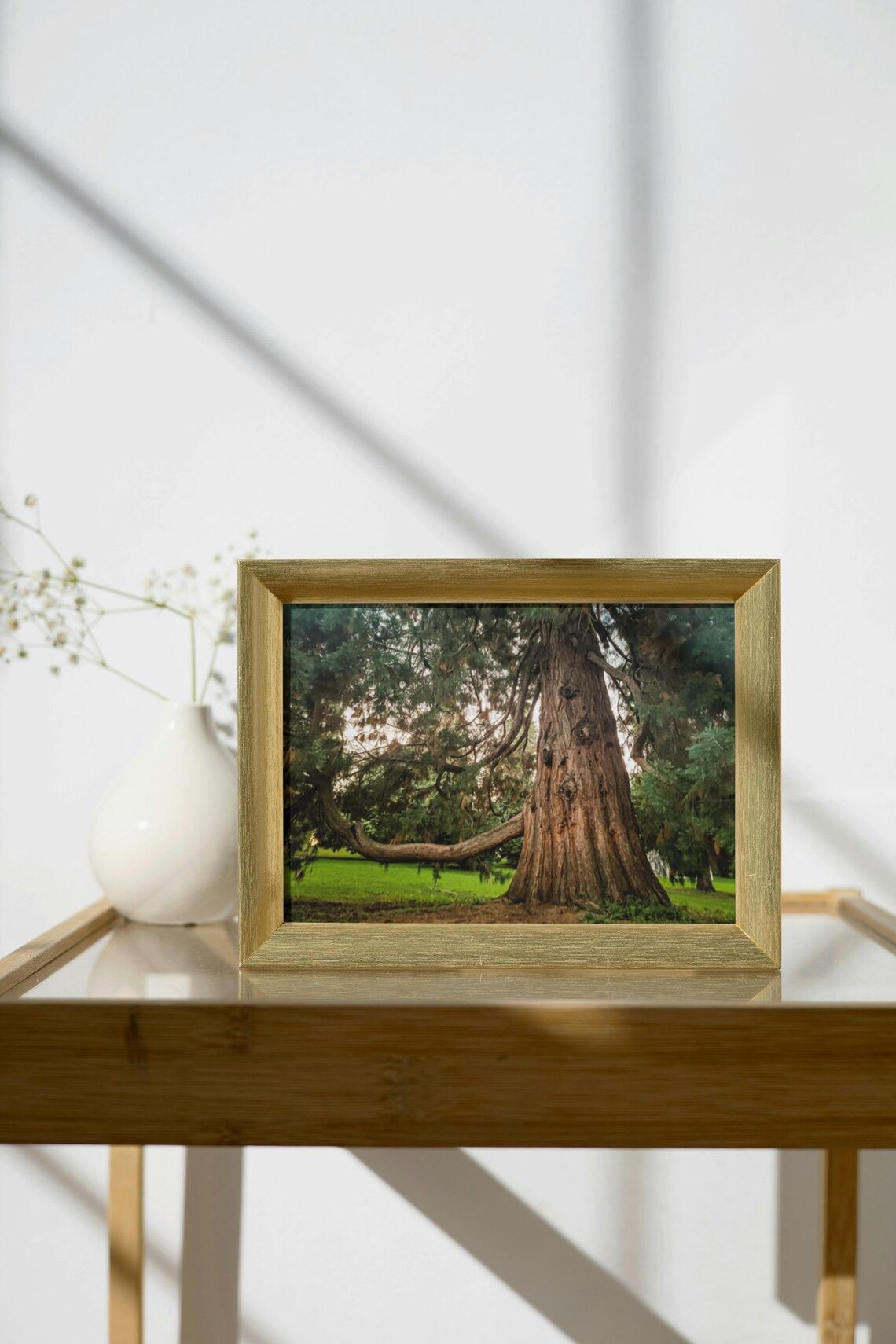 Tree Wall Art, Printable, Landscape, Nature, Photography, Photo ...