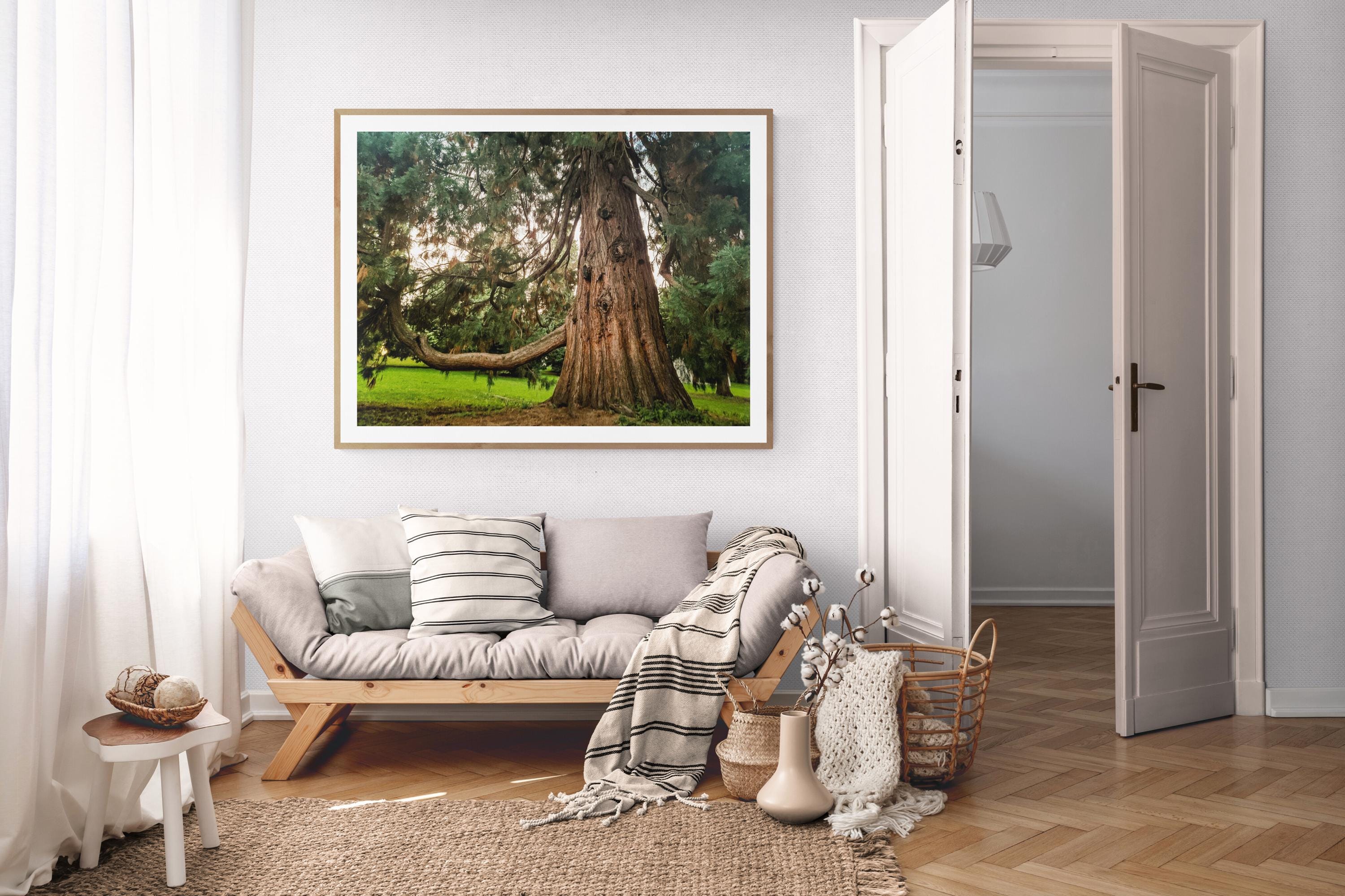 Tree Wall Art, Printable, Landscape, Nature, Photography, Photo ...