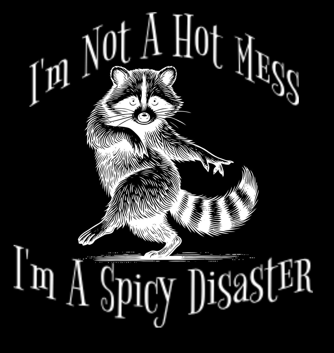 Digital Download - "i'm Not a Hot Mess I'm a Spicy Disaster" - Graphic ...