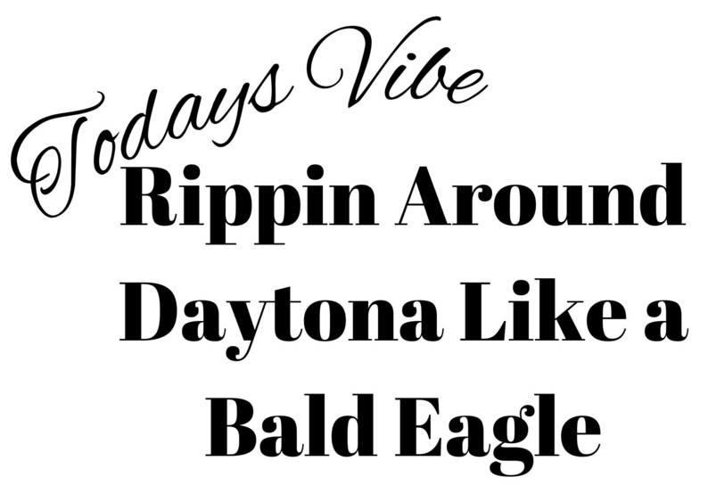 NASCAR Daytona Bald Eagle Vibe (svg, Png, Jpeg) (digital Download) - Etsy