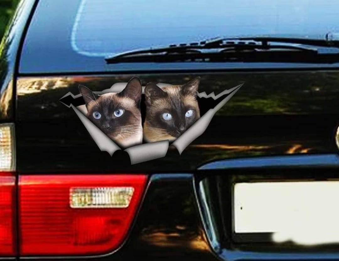 Siamese Decal for Car, Siamese Cat Car Decal, Cat Car Sticker, Siamese ...