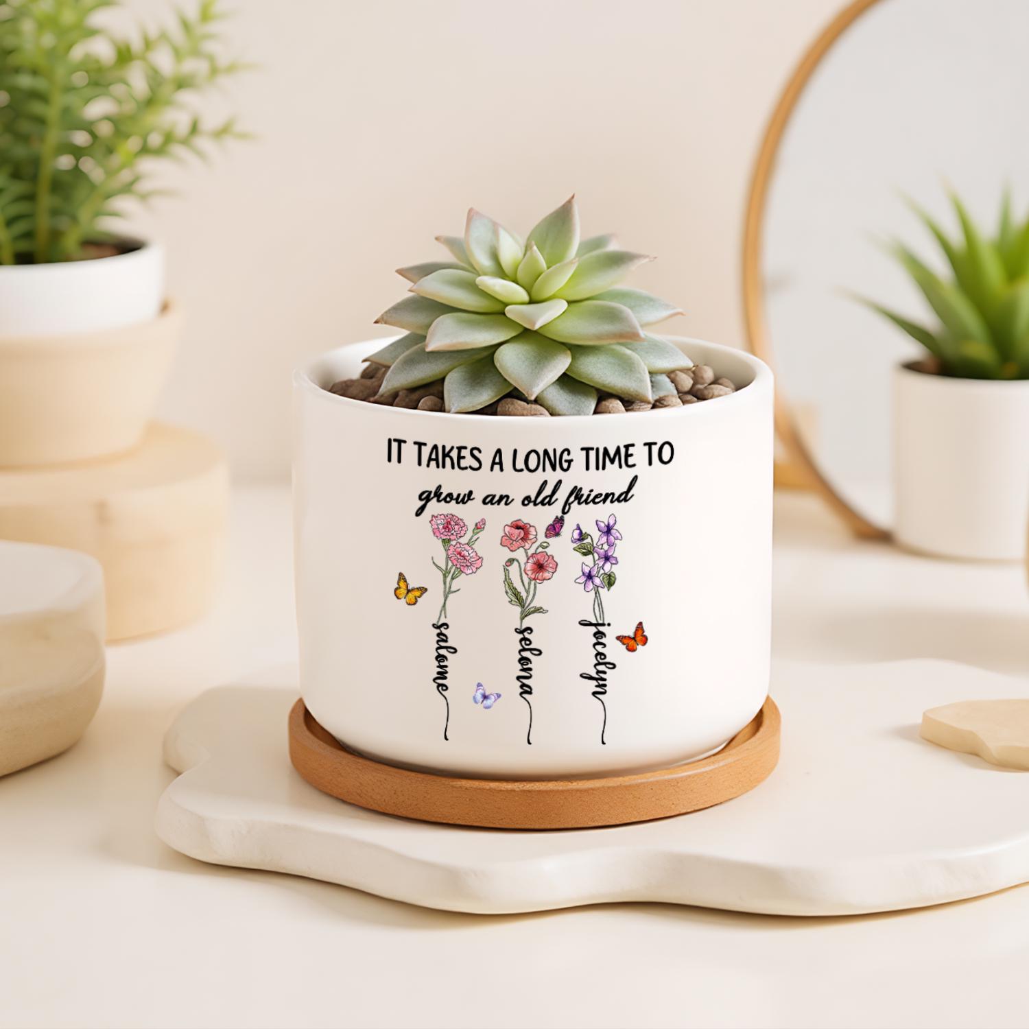 Personalized Friendship Ceramic Mini Plant Pot,it Takes A Long Time to ...