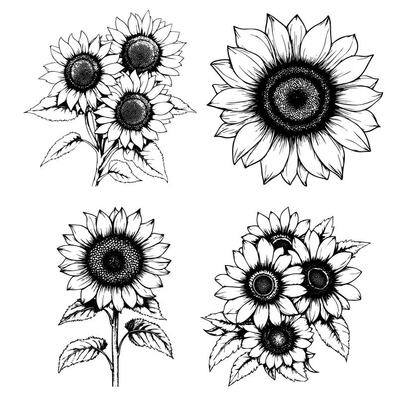 Sunflowers Engrave/svg File/sunflower Bundle/engrave File/printing File ...