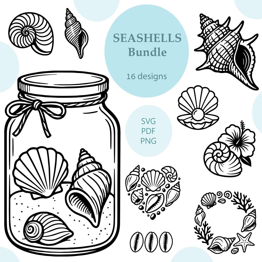 Seashells Engrave/seashell Svg/seashell Clipart Bundle/printable ...