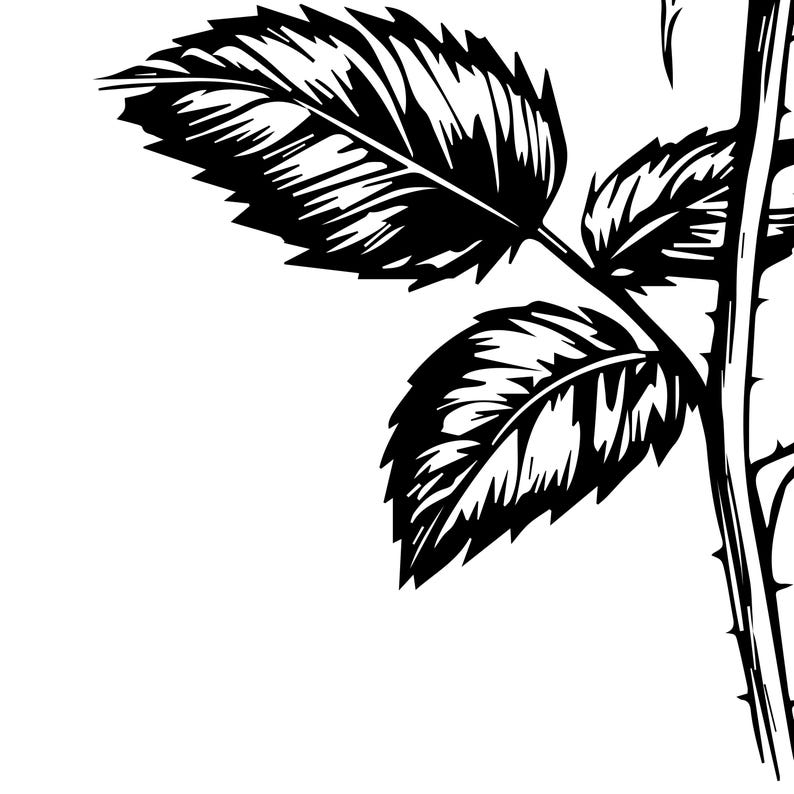 Roses Engrave/ SVG File/ Roses Bundle SVG/ Engrave File/ Printing File ...