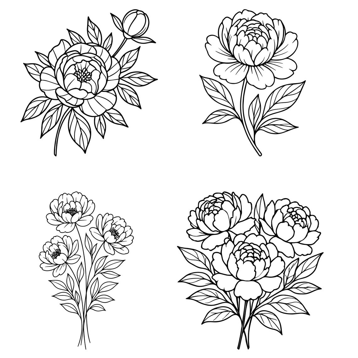 Peonies SVG 16 Vector Clipart Bundle: Engrave Laser, Flowers Print ...