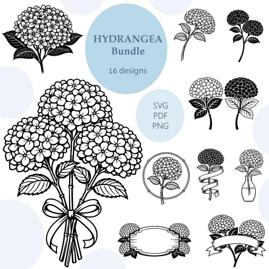 Hydrangea Flower SVG 16 Vector Clipart Bundle: Engrave Laser, Print ...