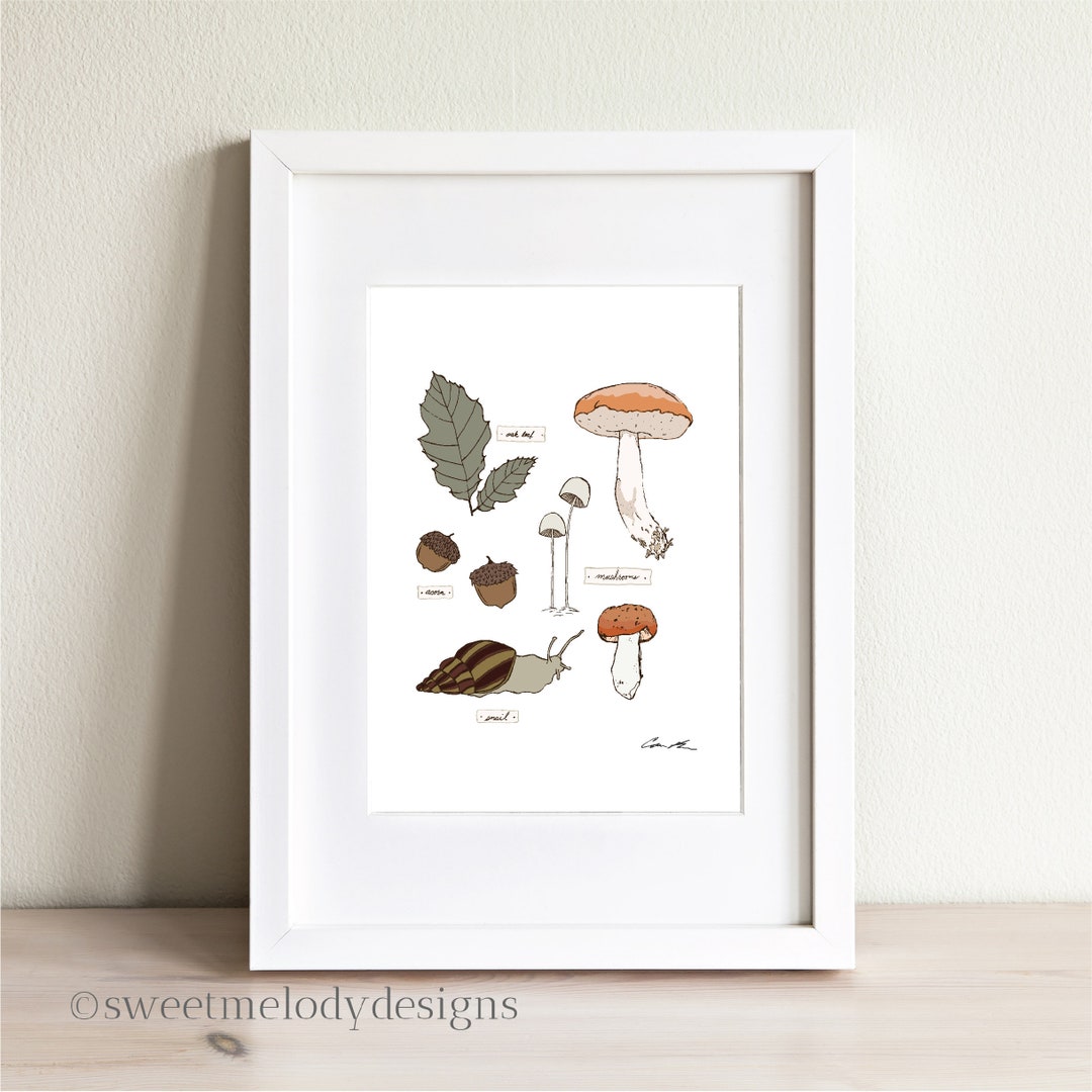 Nature Study Art Print, Nature Journal Art No 1, Forest Plants and ...
