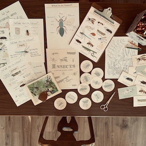 Insects Unit Study, Kids Bug Study, Digital Download, Printable Nature ...