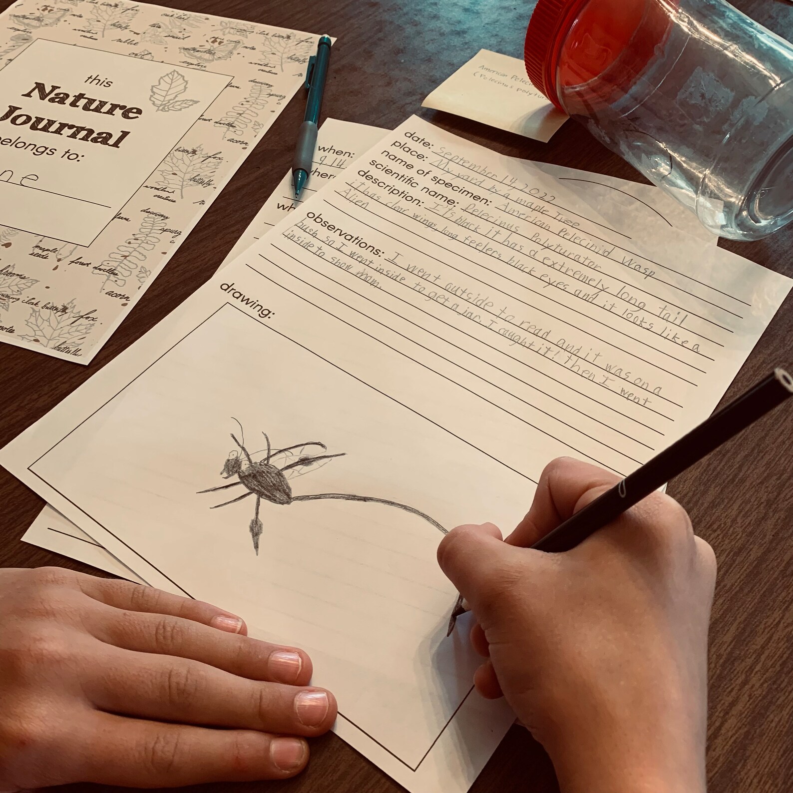 Nature Journal Printable Cover & Journal Entry Pages - Etsy