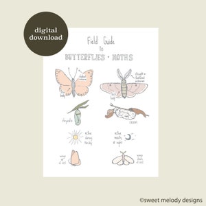 Printable Butterfly and Moth Art, Digital Download, Butterfly and Moth ...