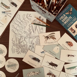 Insects Unit Study, Kids Bug Study, Digital Download, Printable Nature ...