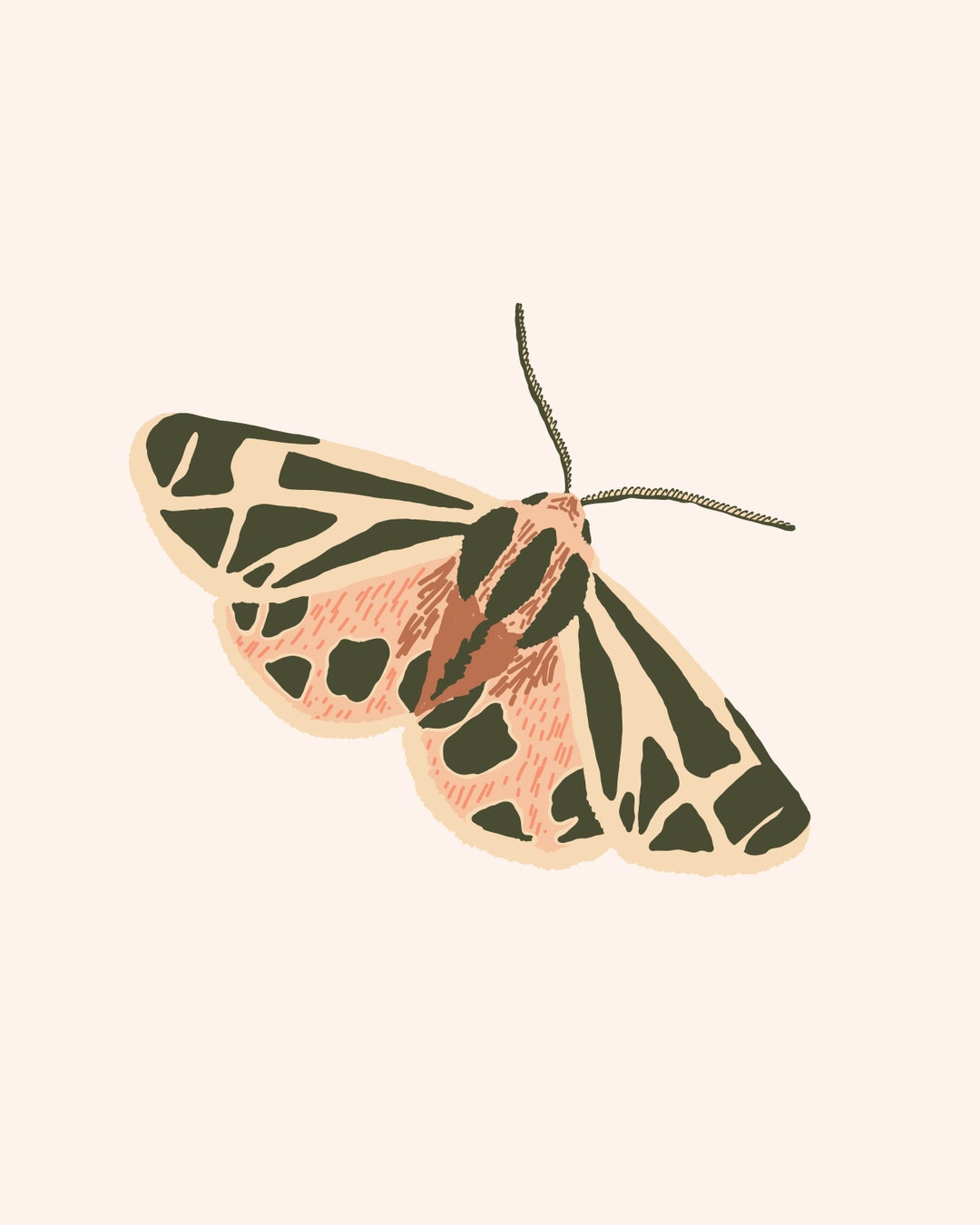 Tiger Moth Illustration - Moth Art Print - Harnessed Tiger Moth - Etsy