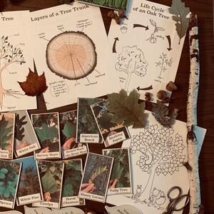 Tree Study Bundle - Printable Nature Study - Homeschool Science ...