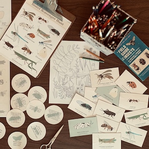 Insects Unit Study, Kids Bug Study, Digital Download, Printable Nature ...