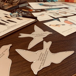 Bird Unit Study Bundle - Printable Nature Study - Homeschool Science ...