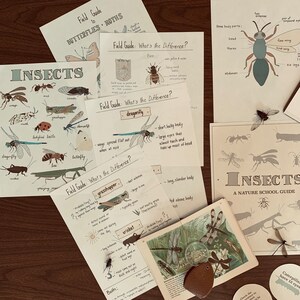Insects Unit Study, Kids Bug Study, Digital Download, Printable Nature ...