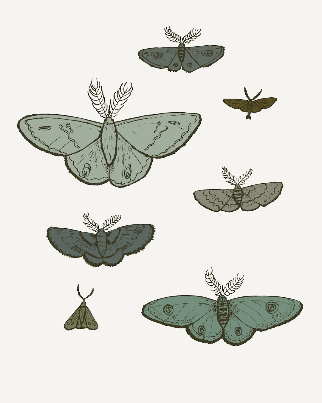 Moth Art - Green Moths Illustration - Forest Moths Art Print - Moth ...