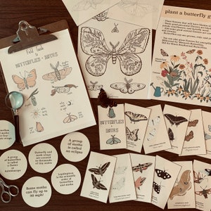 Butterfly and Moth Unit Study, Digital Download, Printable Nature Study ...