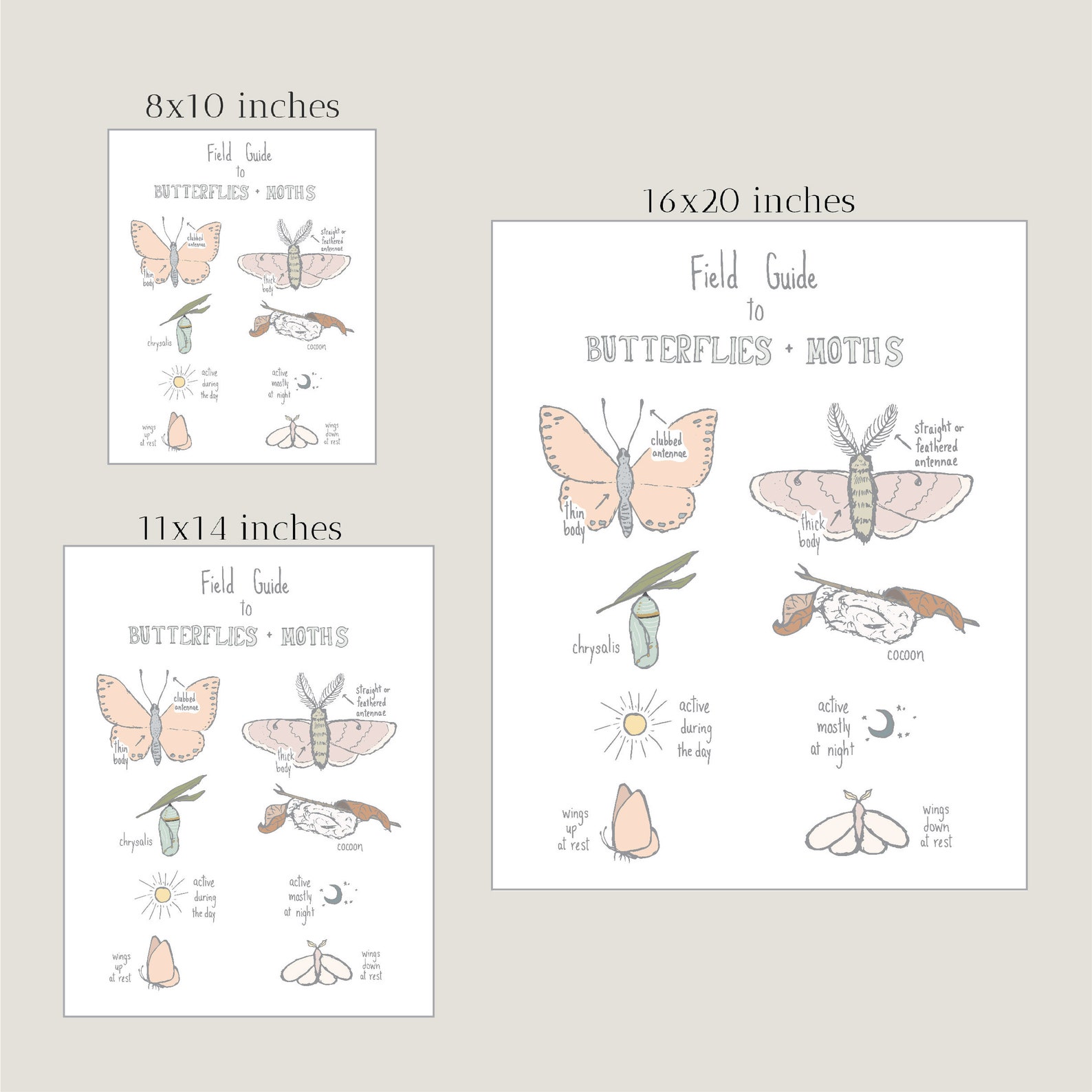 Butterfly and Moth Nature Study Art Print Homeschool - Etsy