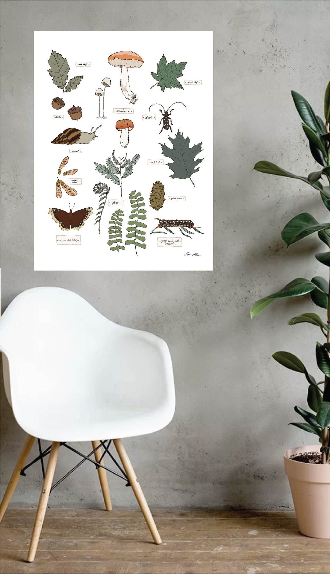 Nature Study Poster, Nature Journal Art, Forest Plants and Creatures ...