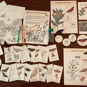 Butterfly and Moth Unit Study, Digital Download, Printable Nature Study ...