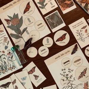 Butterfly and Moth Unit Study, Digital Download, Printable Nature Study ...