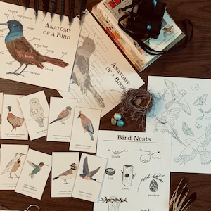Bird Unit Study Bundle - Printable Nature Study - Homeschool Science ...