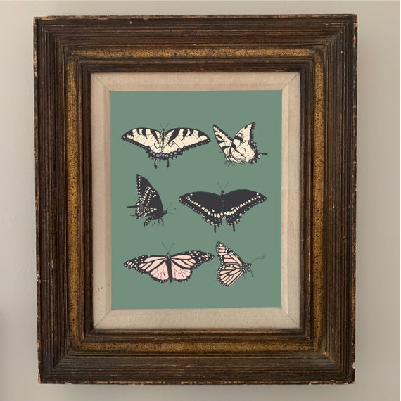 Butterflies Of The World Chart