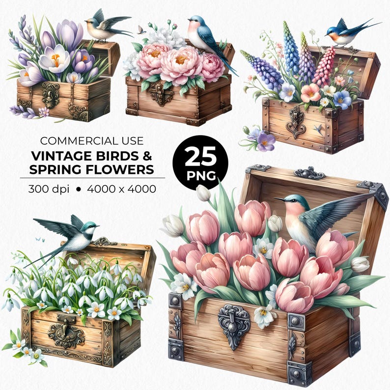 Vintage Birds With Spring Flowers & Treasure Chest PNG - Spring Floral ...