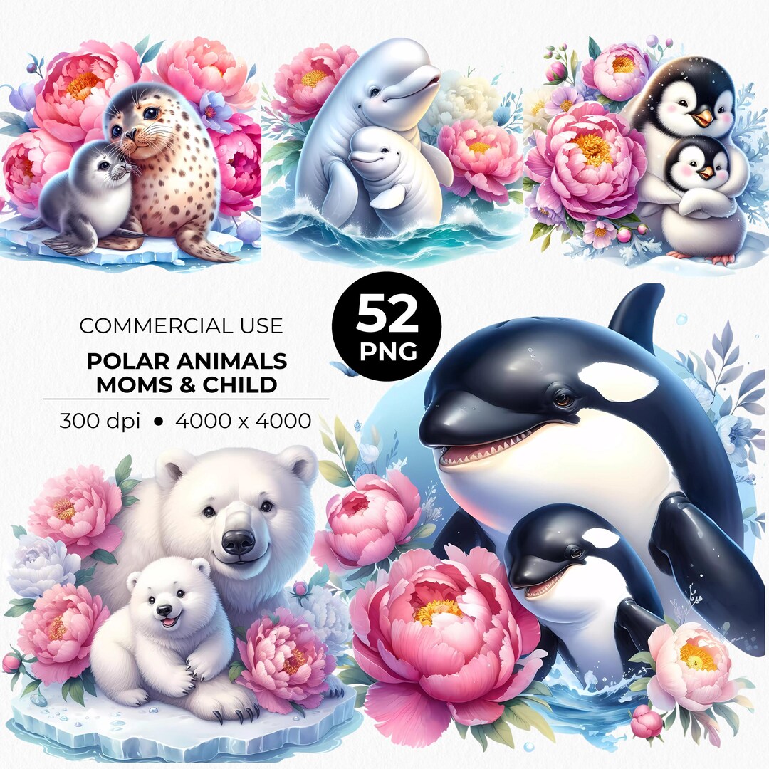 Polar Animals PNG - Orcas, Bears, Reindeer, Seals, Owl, Snow Leopard ...