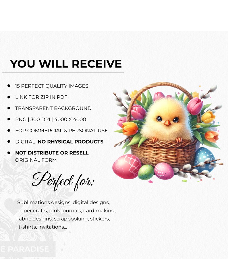 Easter Rabbit & Chicken Clipart – Spring PNG Digital Download - Etsy